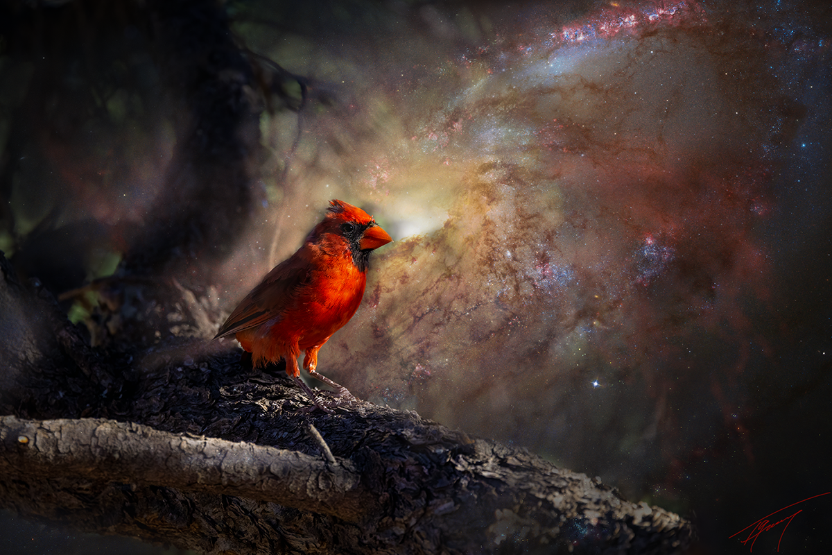 Astro Red