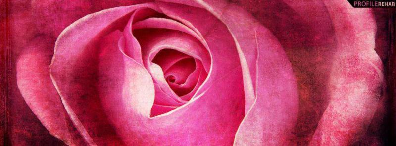 Announcing the Magdala Rose Manuscript by Susanna Sophia Hart