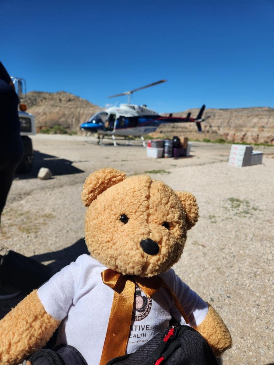 NATIVE HEALTH Newsletter - June 2024