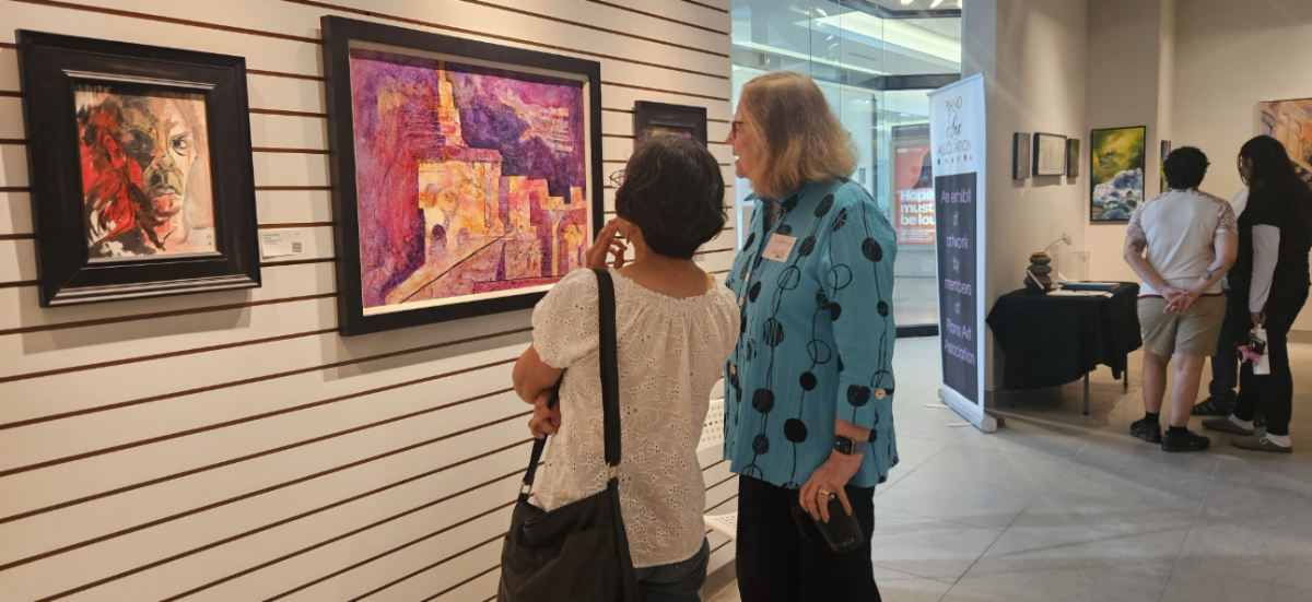 Support the Visual Arts in Plano