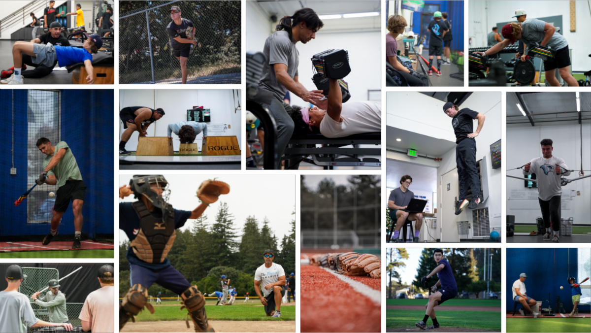 Paradigm Sport ⚾ Spring Development Program ⚾