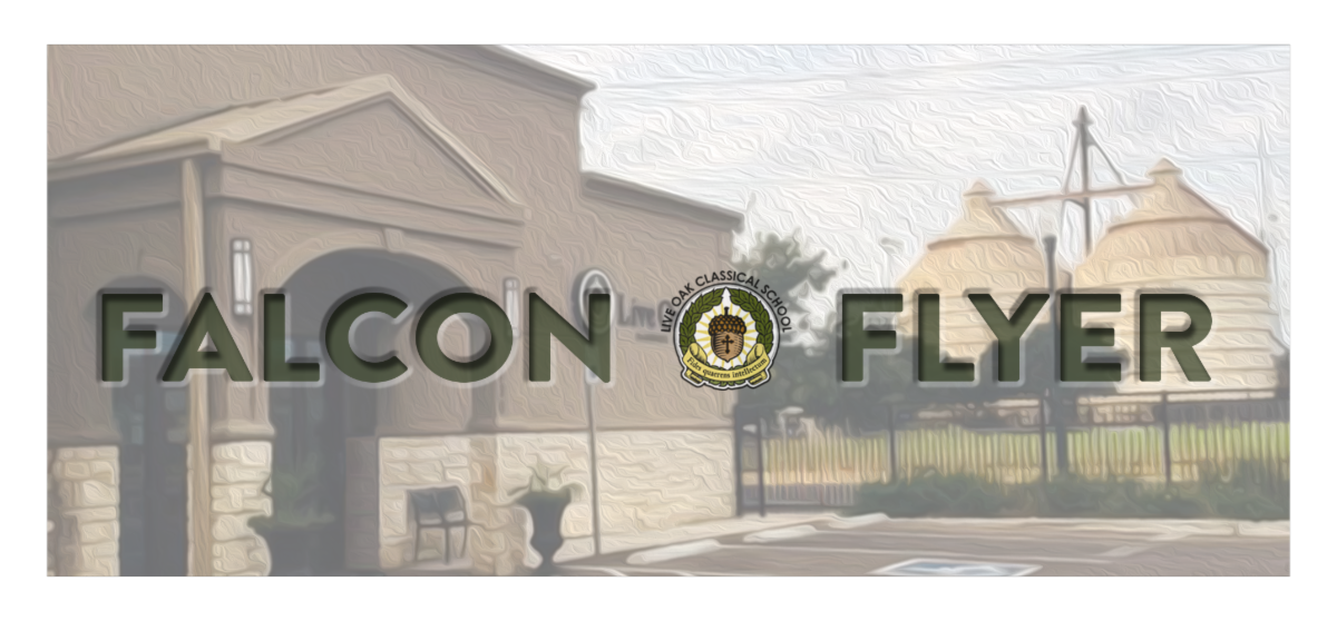 Falcon Flyer - 04/01/2021