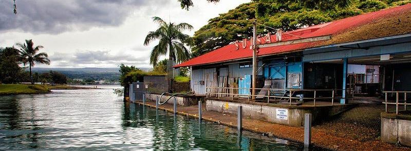 The Hanapa`a Insider