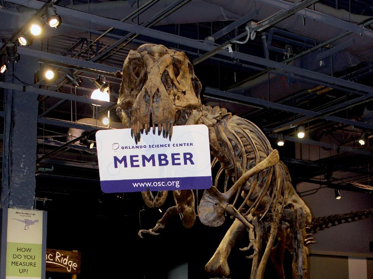 Refer a friend and WIN a membership!