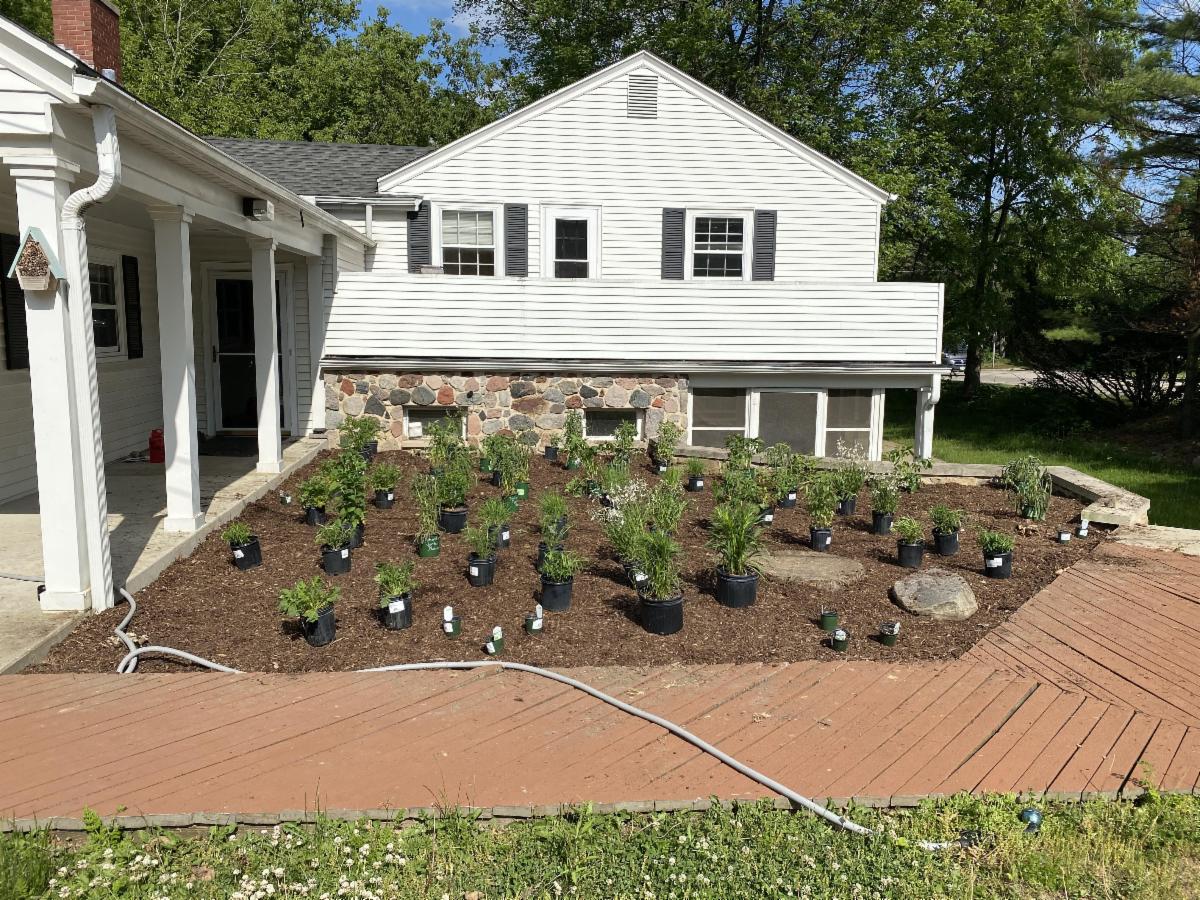 RPW's New Office Pollinator Patch! 💛