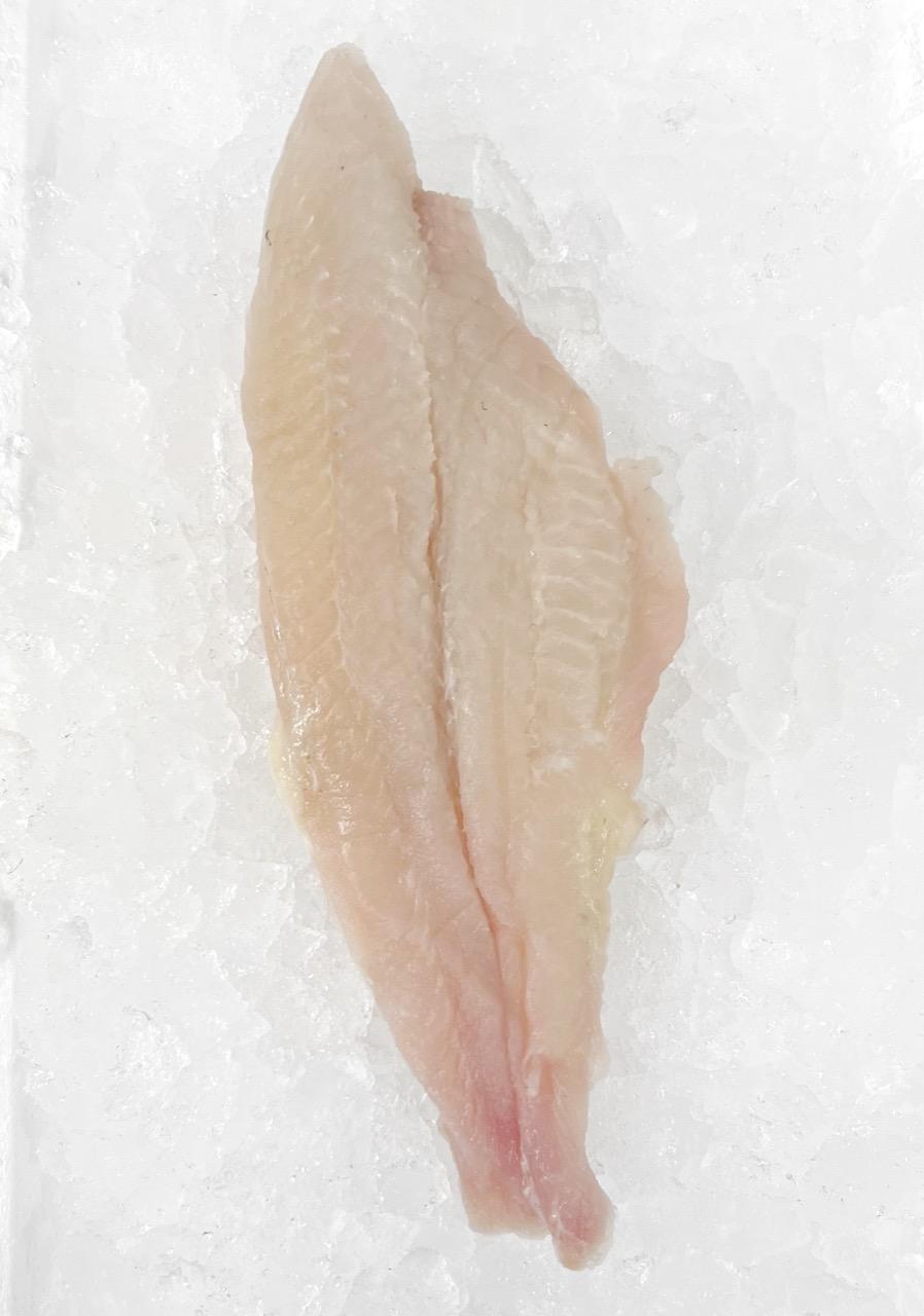 🐟 Weekend Fish Suggestions