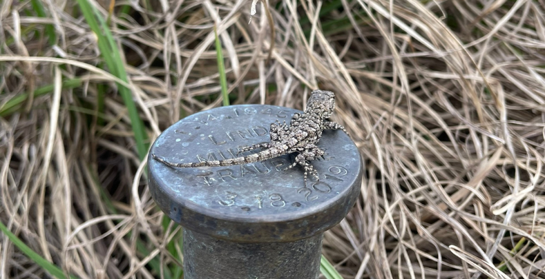 Prairie Creek Conservation Cemetery's 2024 Winter Newsletter