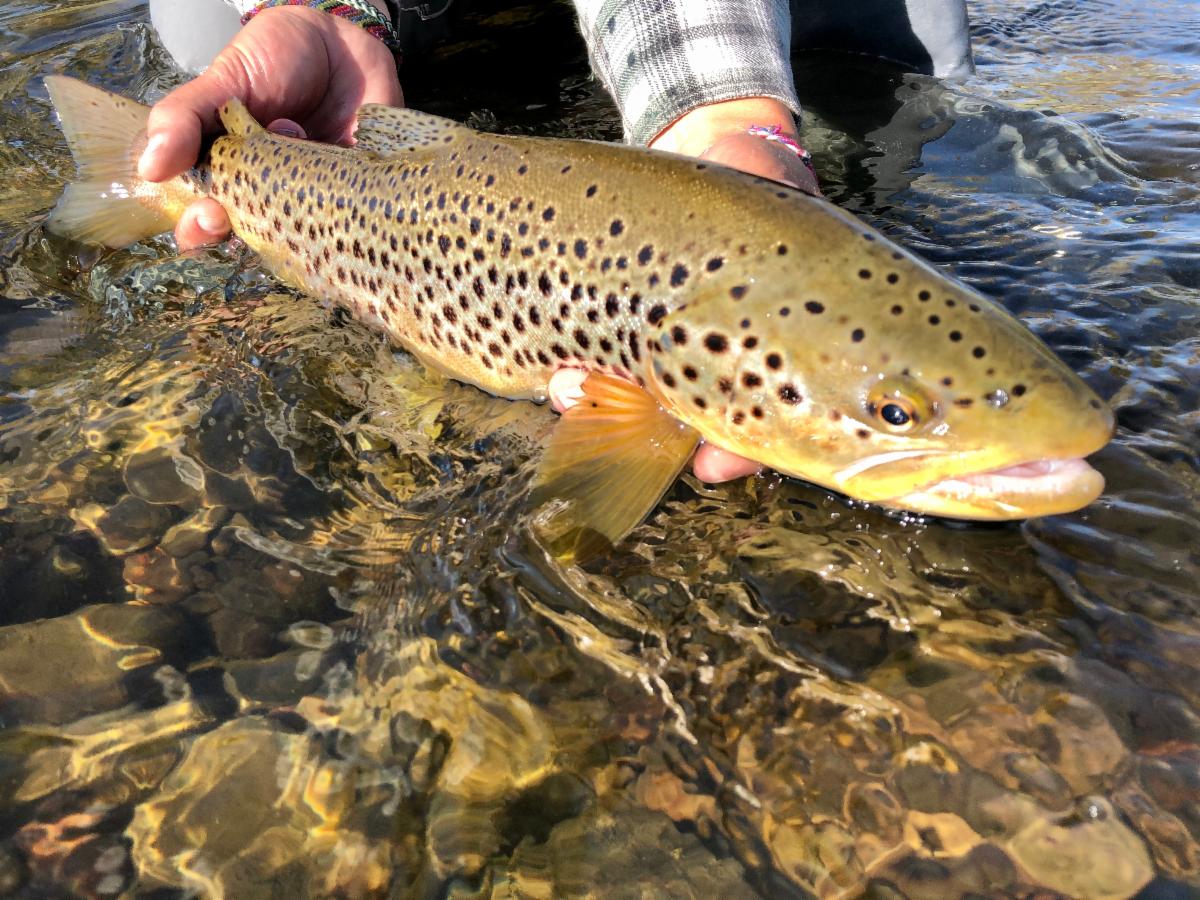 Meeting with the Fisheries Biologists