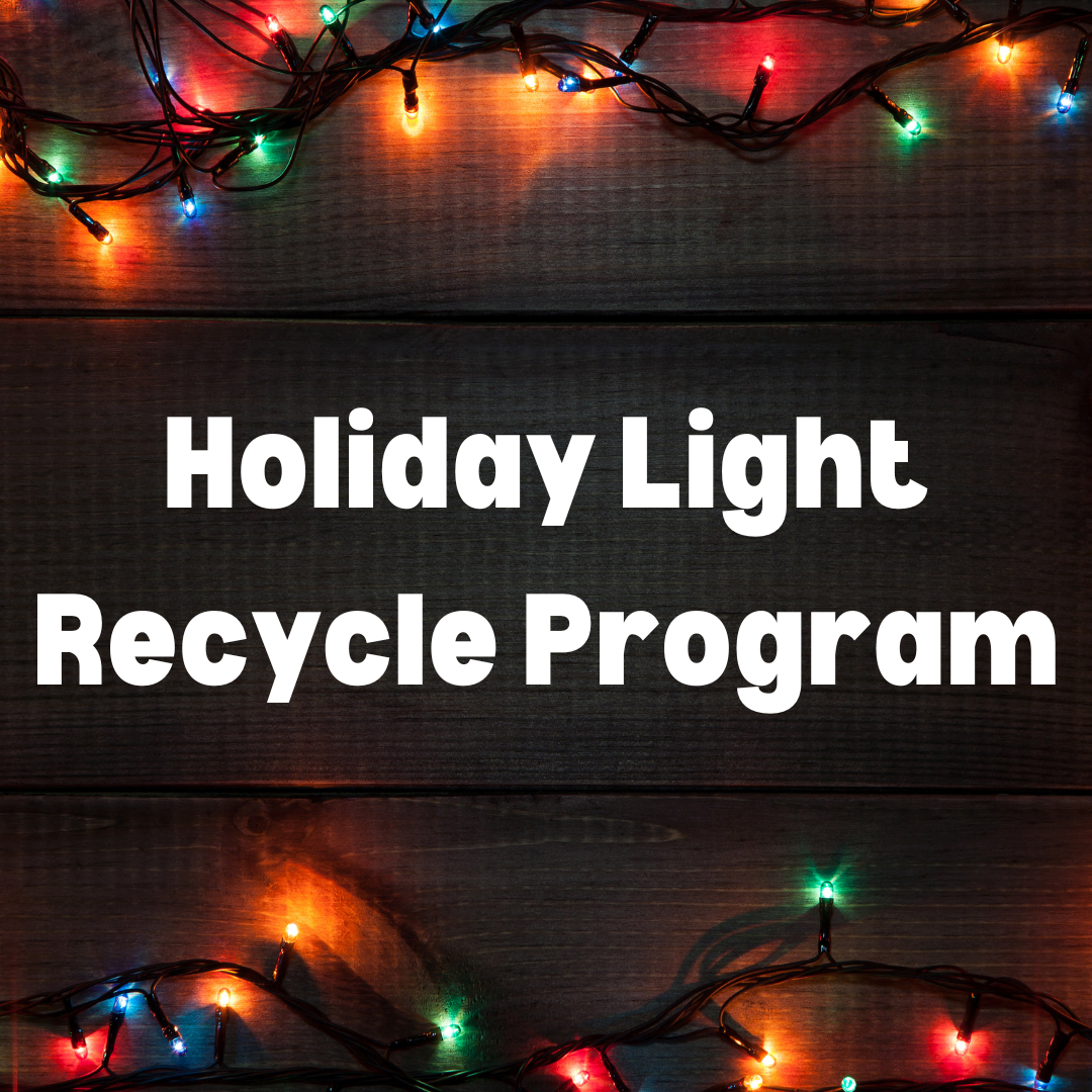 Read this week's PalatinE-Newsletter