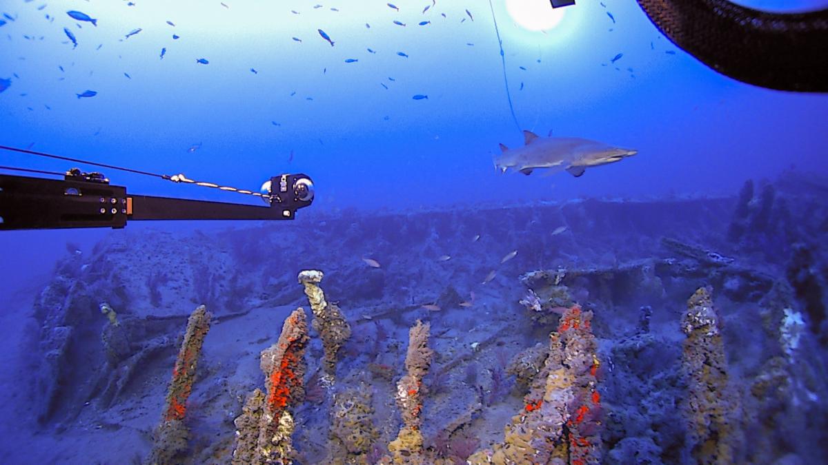 Momentum Builds for Quonset as Wind Energy Hub