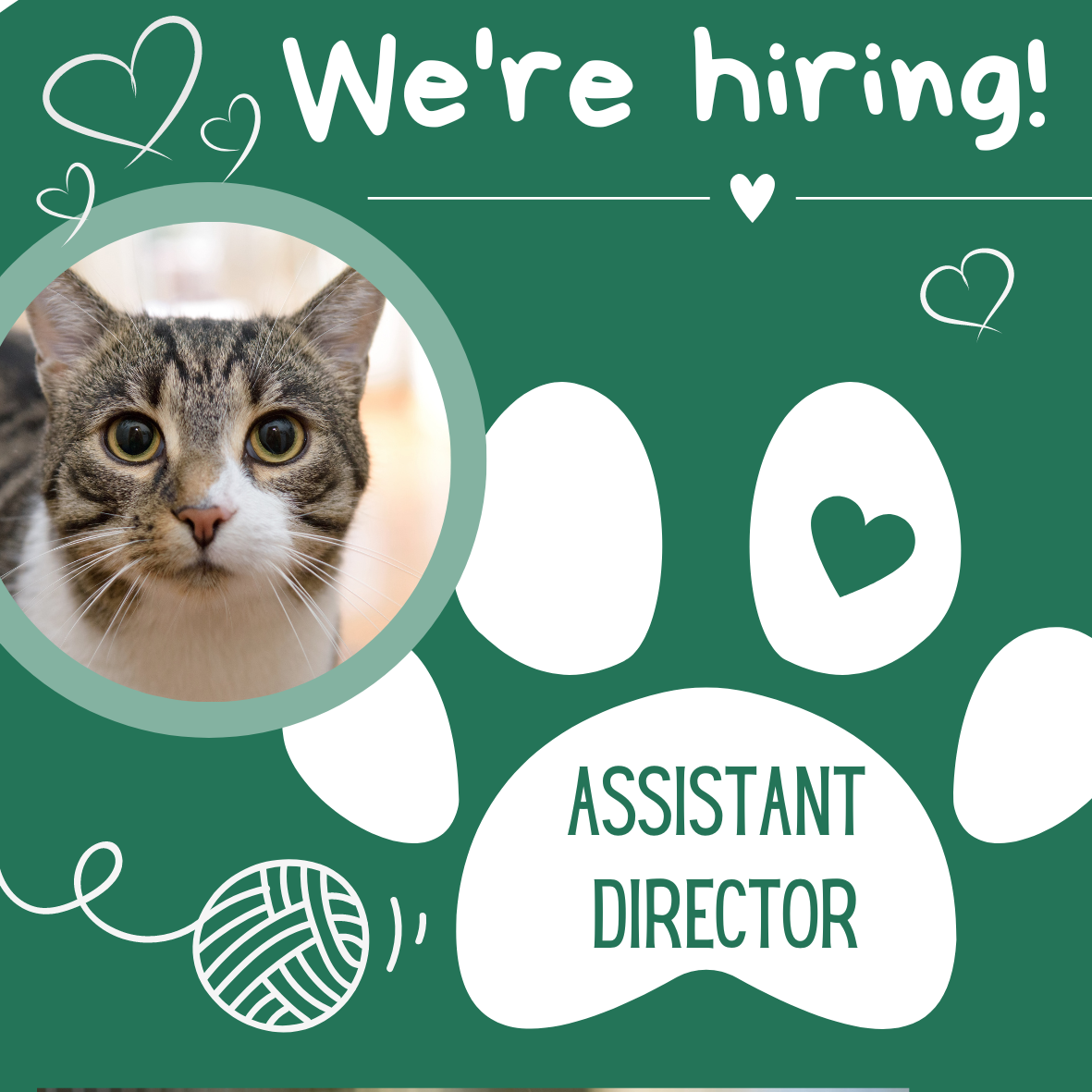 Sit. Stay. Good dog! 💚