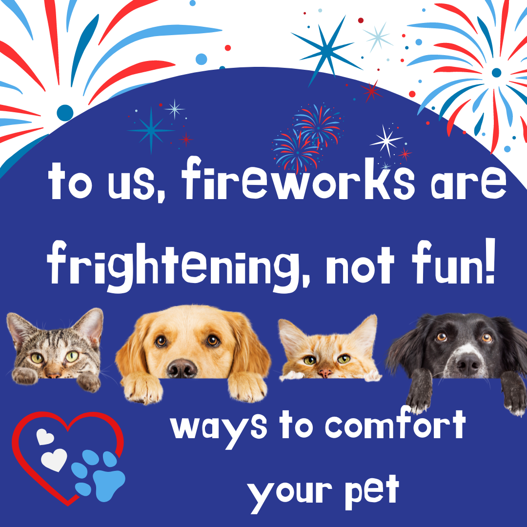 Sit. Stay. Good dog! 💚