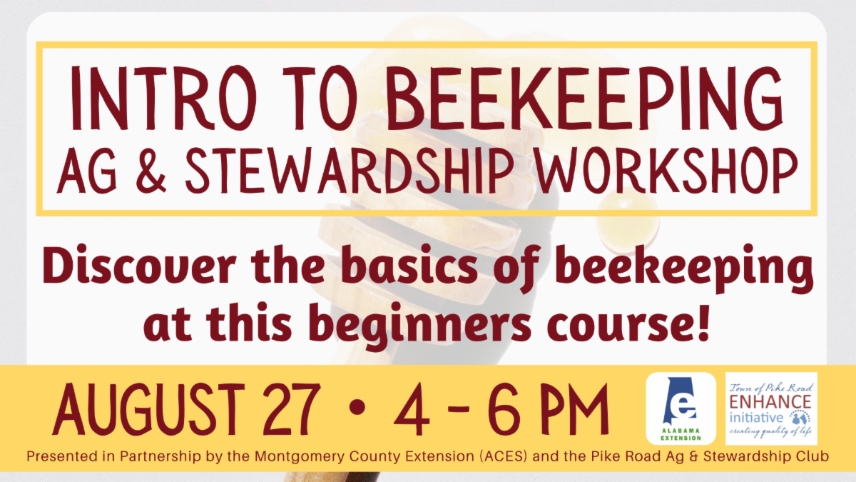 Introduction to Beekeeping Workshop