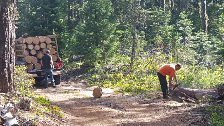 USDA Forest Service News - Free personal use firewood cutting permits ...