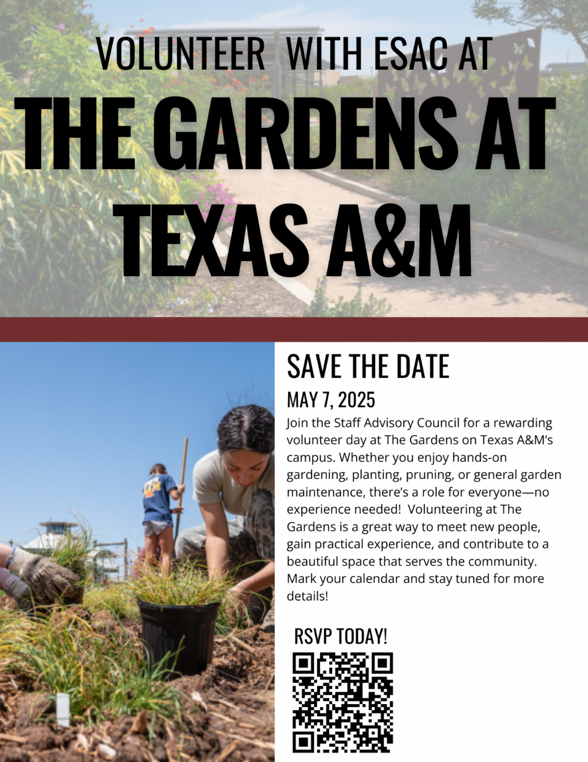 ESAC Newsletter - April 2025
