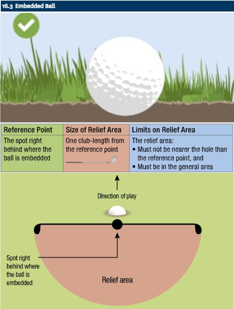 ALL ABOUT GOLF! Here is The Week in Golf