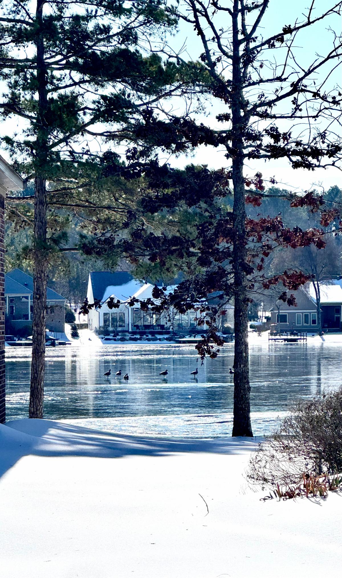 Winter Storm Recovery Morning Update 28 Jan