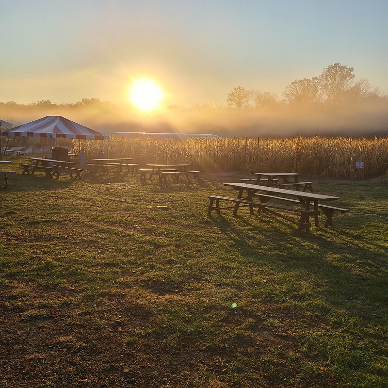 Fall Fun Free Weekend & Winery Music at Terhune Orchards