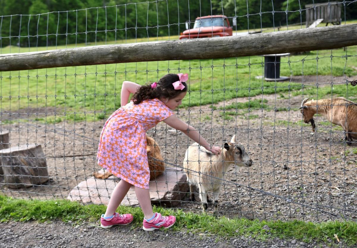 Just Peachy Festival is This Weekend at Terhune Orchards