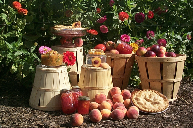 Just Peachy Festival is This Weekend at Terhune Orchards
