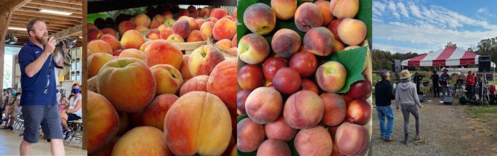 Just Peachy Festival is This Weekend at Terhune Orchards