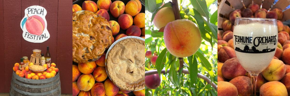 Just Peachy Festival is This Weekend at Terhune Orchards