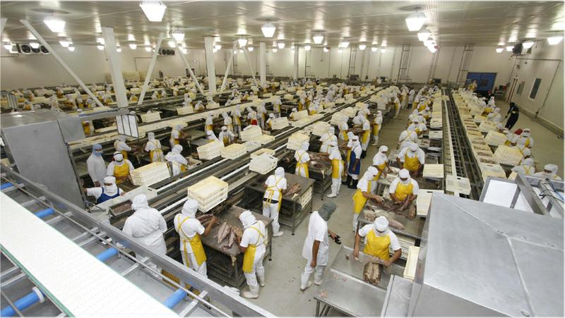 Better Process Control School BPCS - Alimentos y Bebidas - FDA