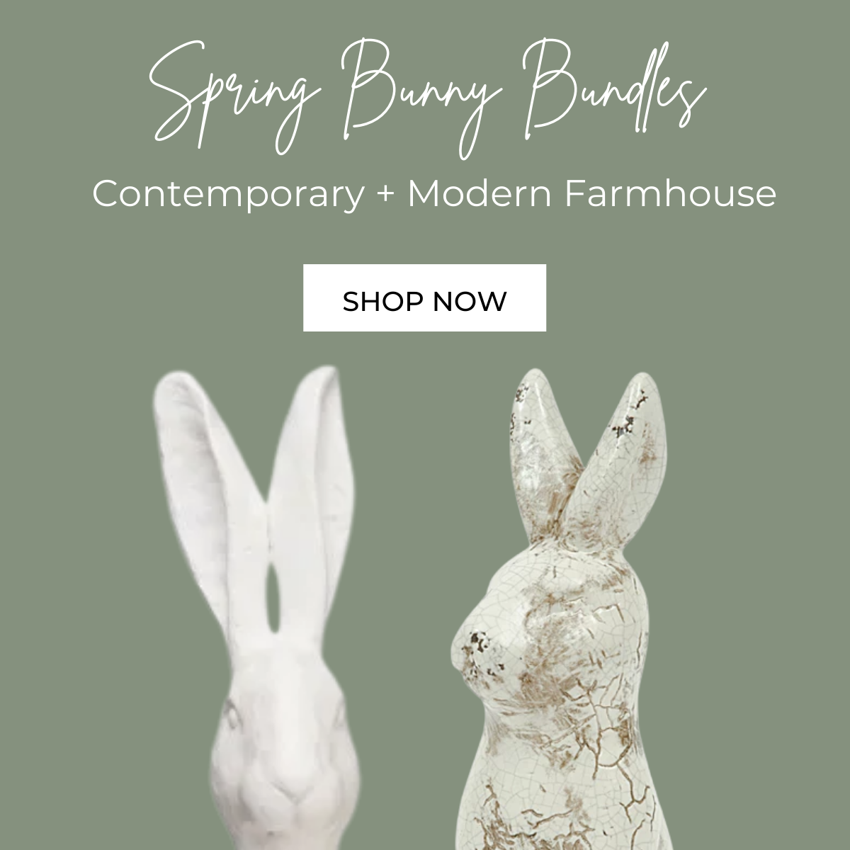 Spring Bunny Bundles Are Here