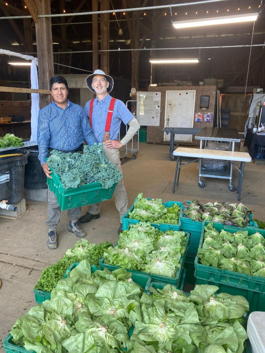 Week #1 CSA Newsletter: Opening week is here! See this week's produce ...