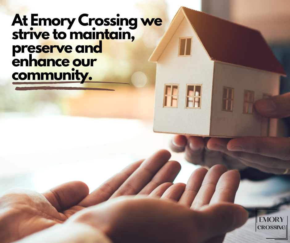 Community Newsletter - Friday, December 8