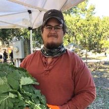 Stellar weather this Saturday