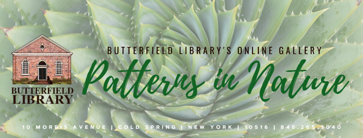 Butterfield Library's Online Gallery