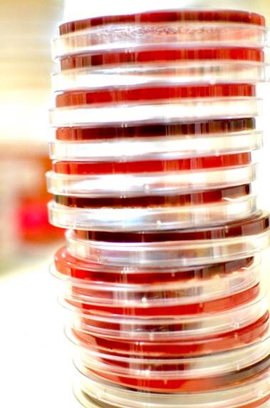 NPHL 2023 August News