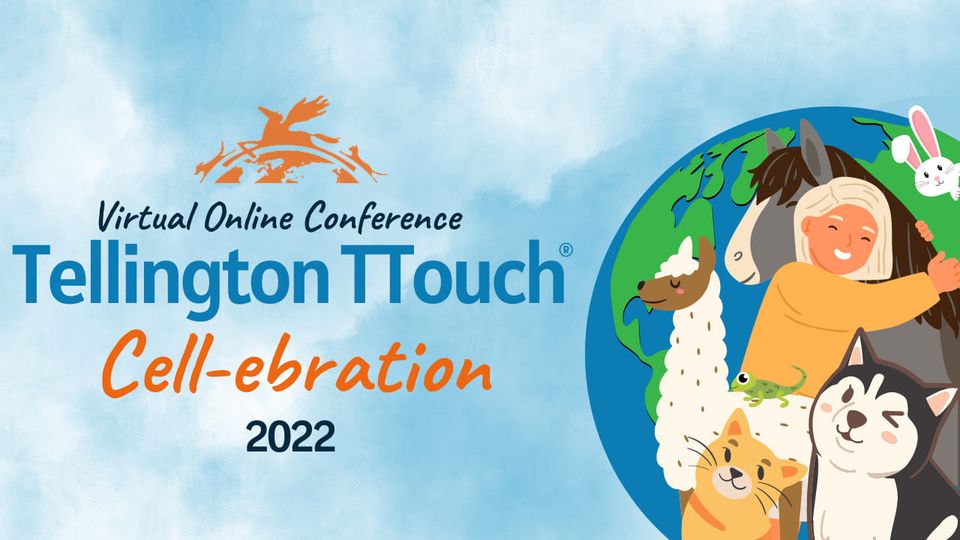 Bemer and Tellington Ttouch!