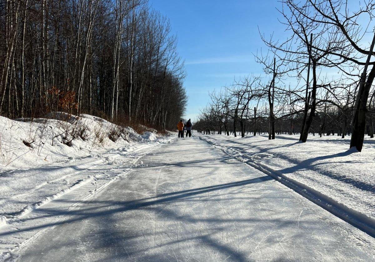 Winter fun for the WIN, new variety show for kids, beat the January blahs