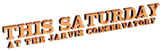 The Grand Night Continues... September 6th, 7:00pm