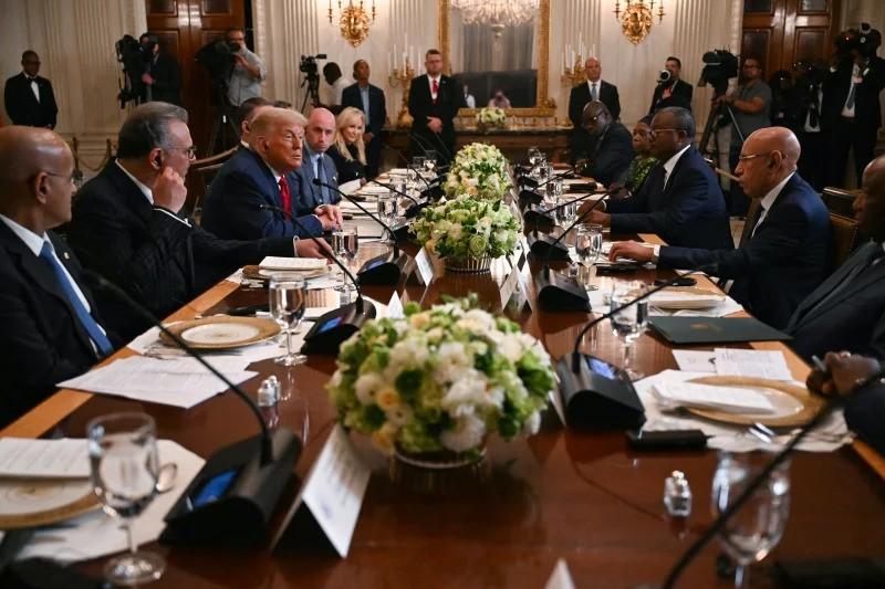 EU-Libya Fallout; Sahel Militants Turning Hobby Drones Into Kamikaze ...