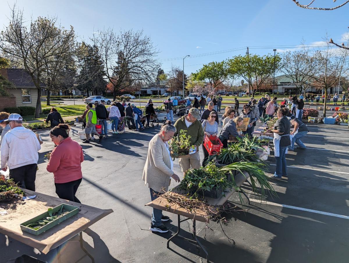 The latest gardening news for you