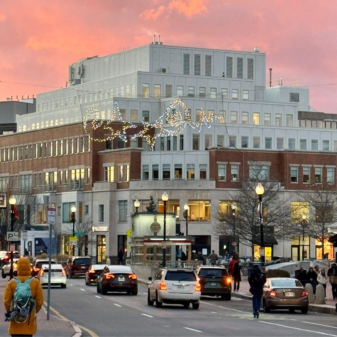 Harvard Square Business Association January Newsletter