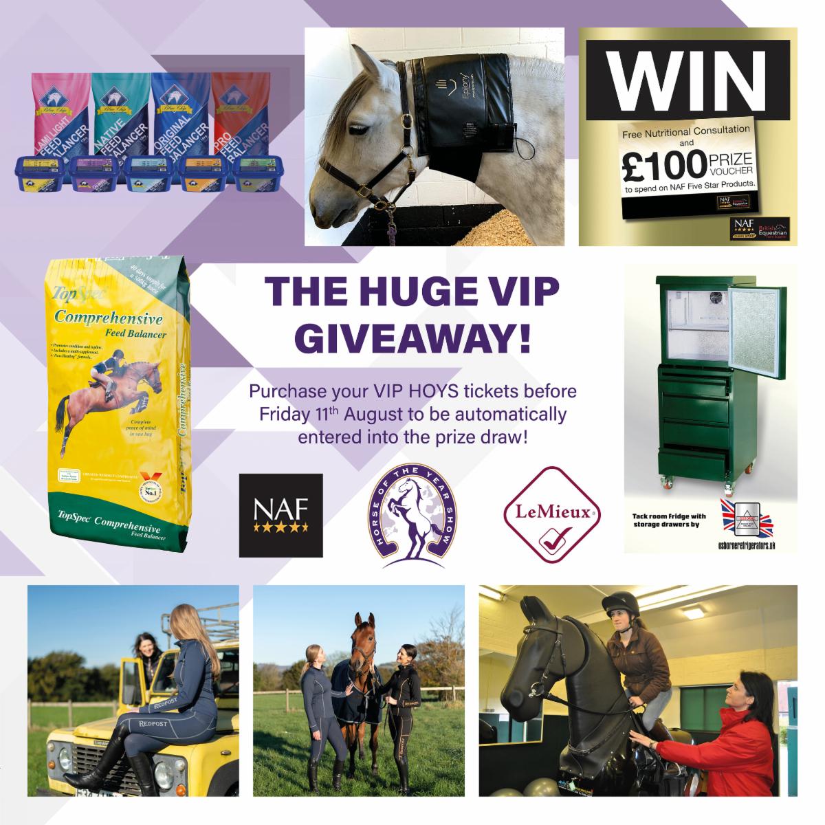 The BIG VIP Giveaway! 💥