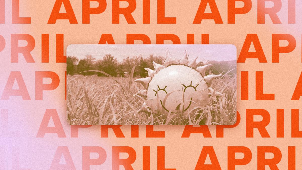 NEW - Eclipse Training Video's!