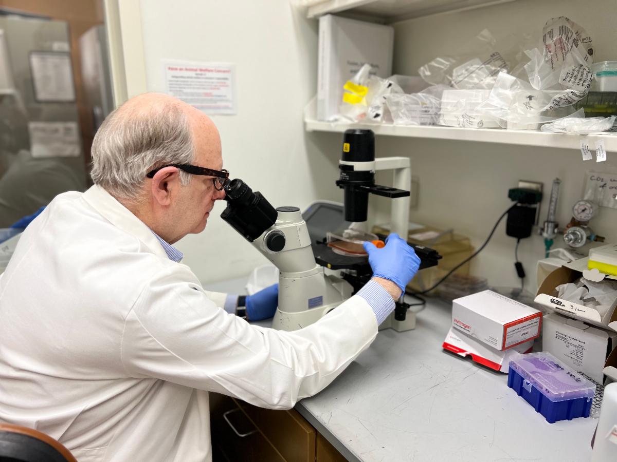 The Vector: Summer 2023