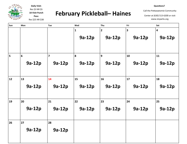 The Dink- All Things Pickleball for February
