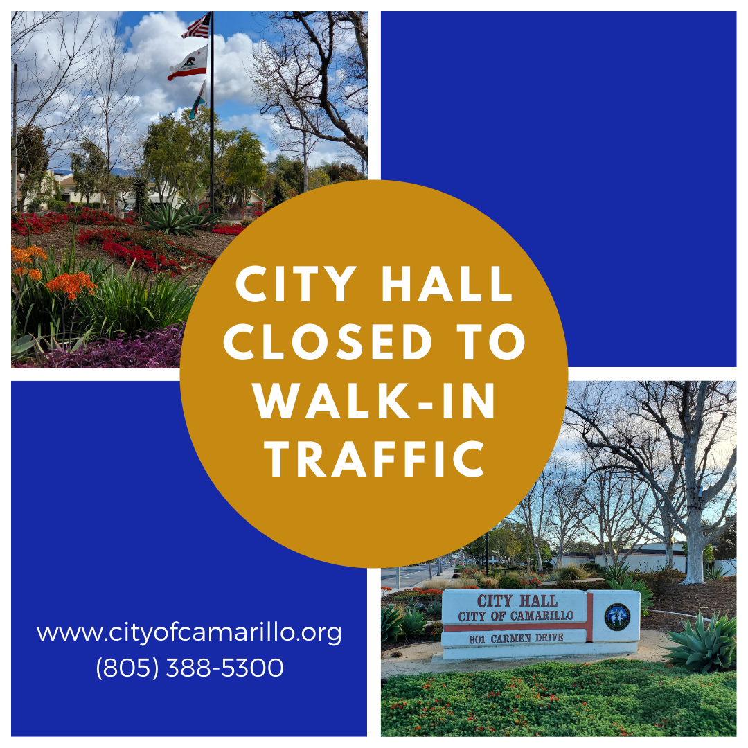 CityScene Newsletter | January - February 2021 Issue