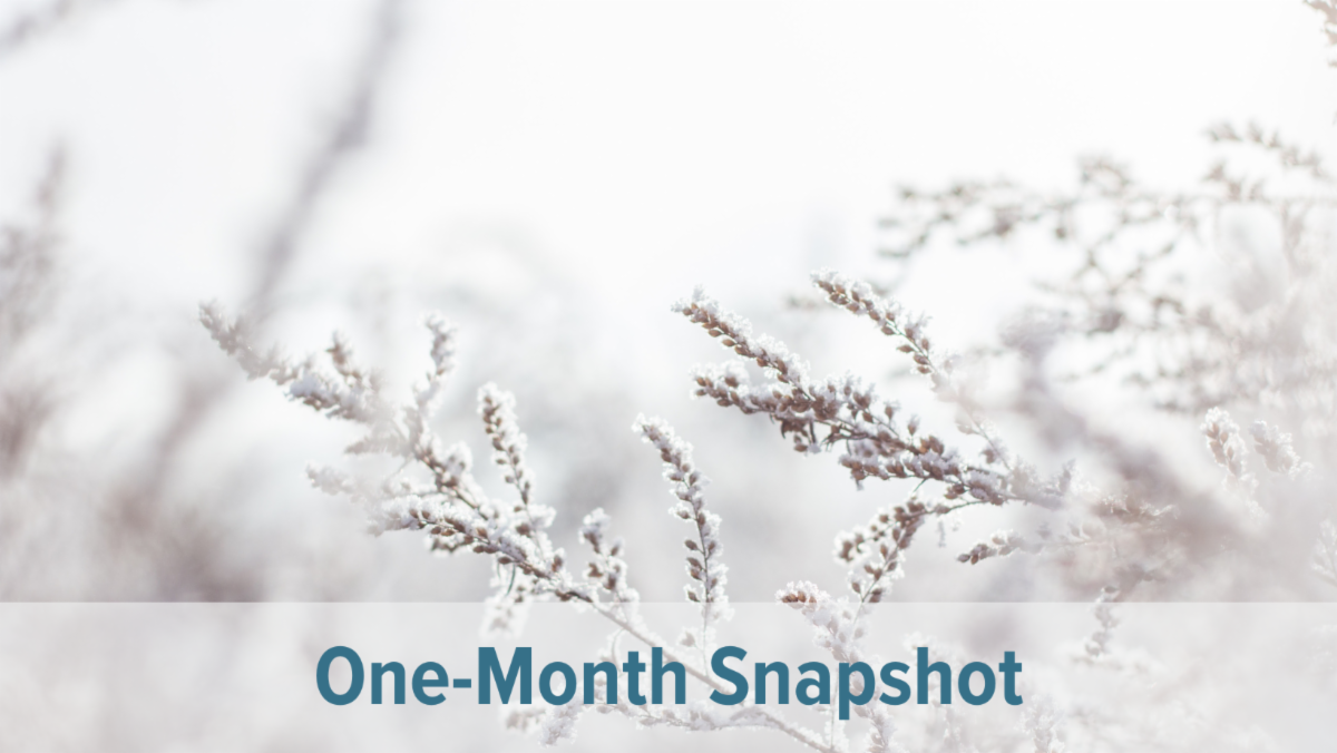 Take a peek! Our One-Month Course Snapshot