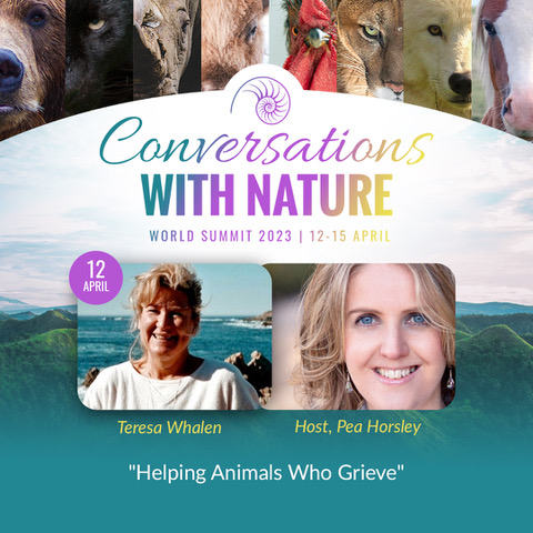 More Information about Helping Animals Grieve