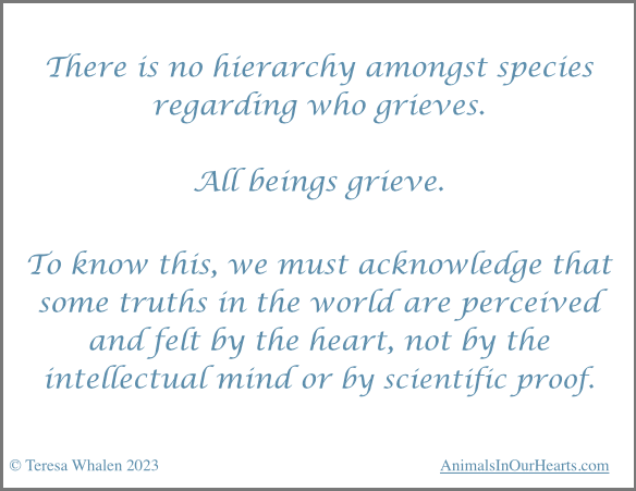 More Information about Helping Animals Grieve