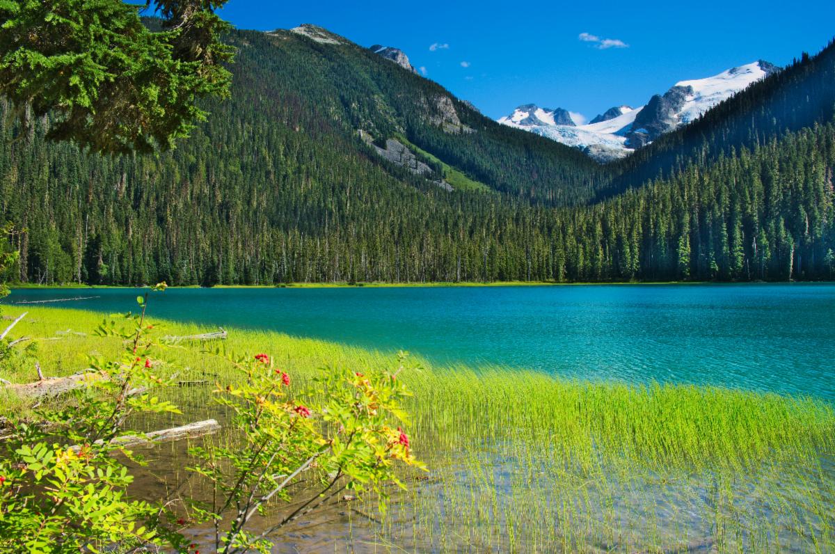 July 10, 2025 Lawyer Panel Discussion - LPA, HPOA, EDMA