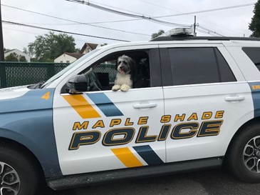 Township of Maple Shade Monthly Newsletter - August 2023