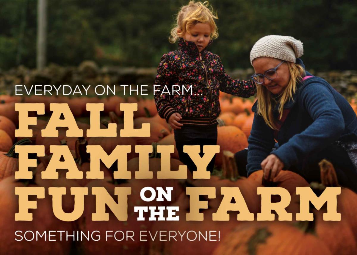 A Rewarding "Labor" of Love... Fall Family Fun on the Farm at Bishop's ...